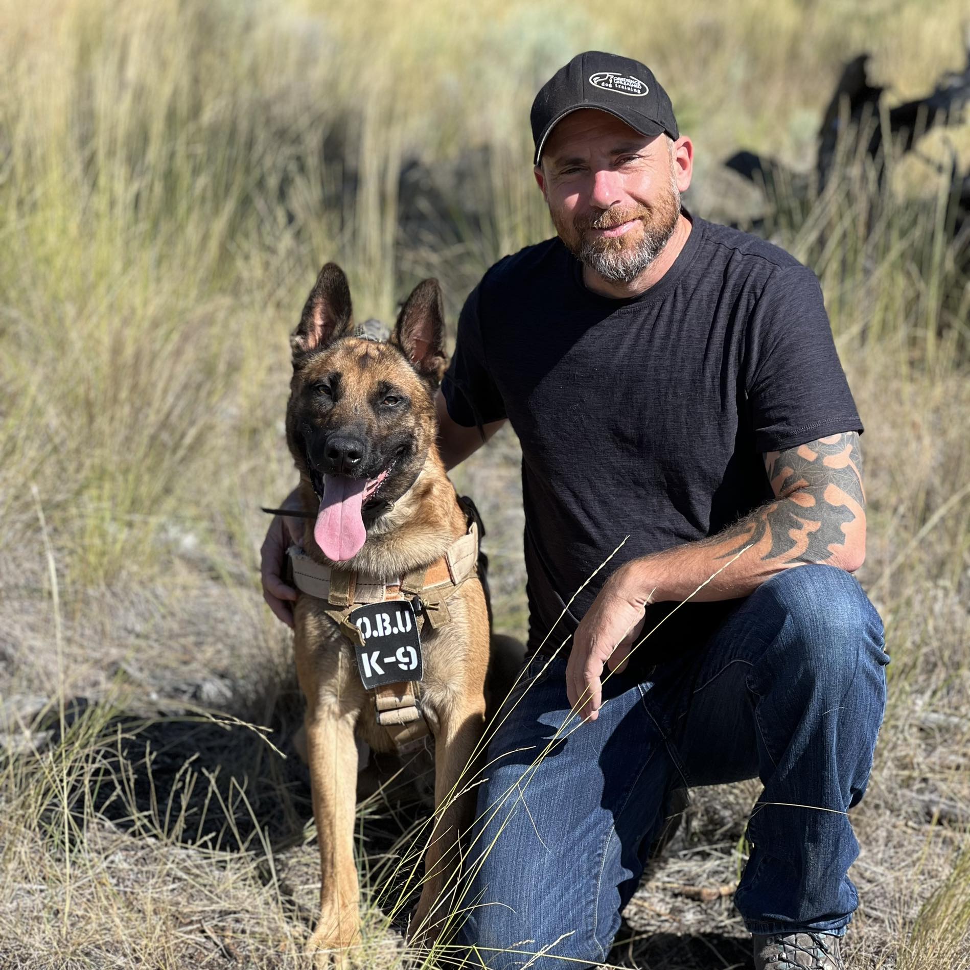 Cadaver Dogs: All You Need To Know - Soldat d'Elite Malinois Kennel